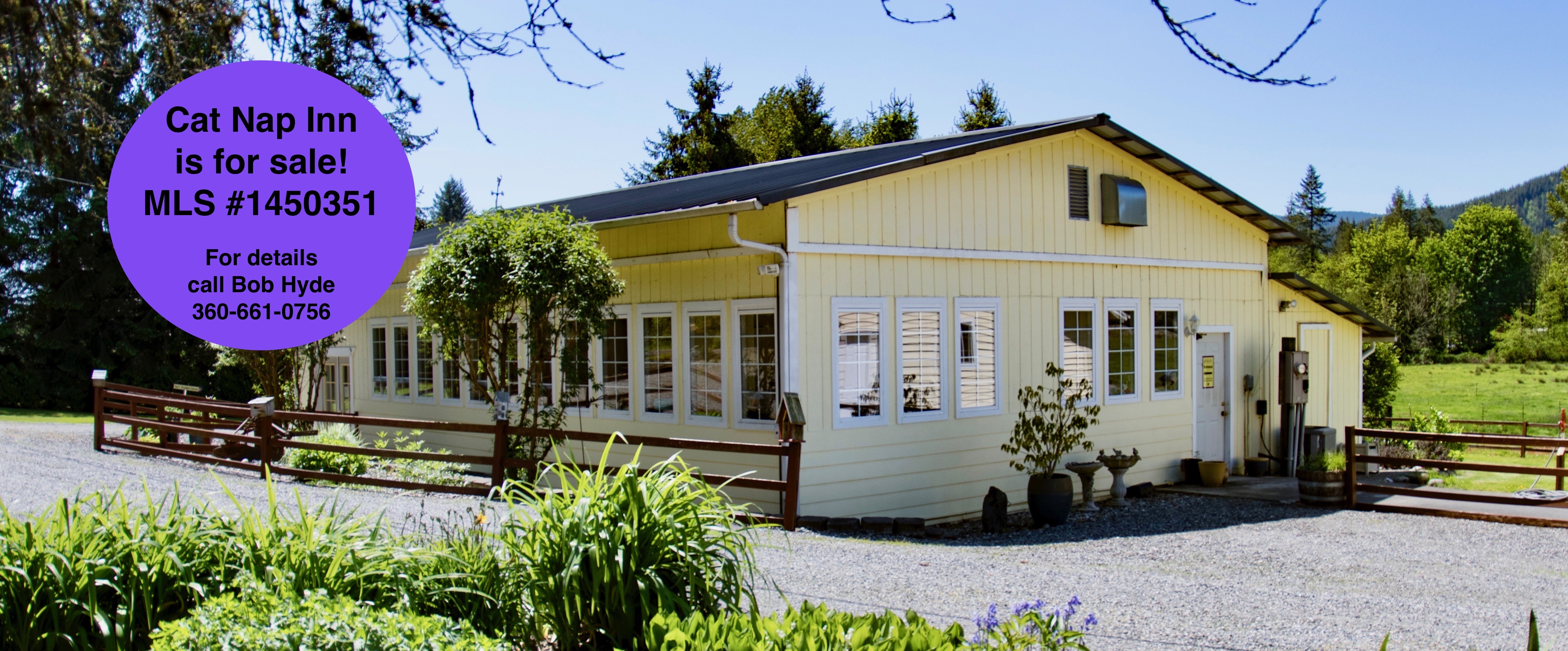 Cat Nap Inn - Bed & Breakfast, Exclusively for Cats